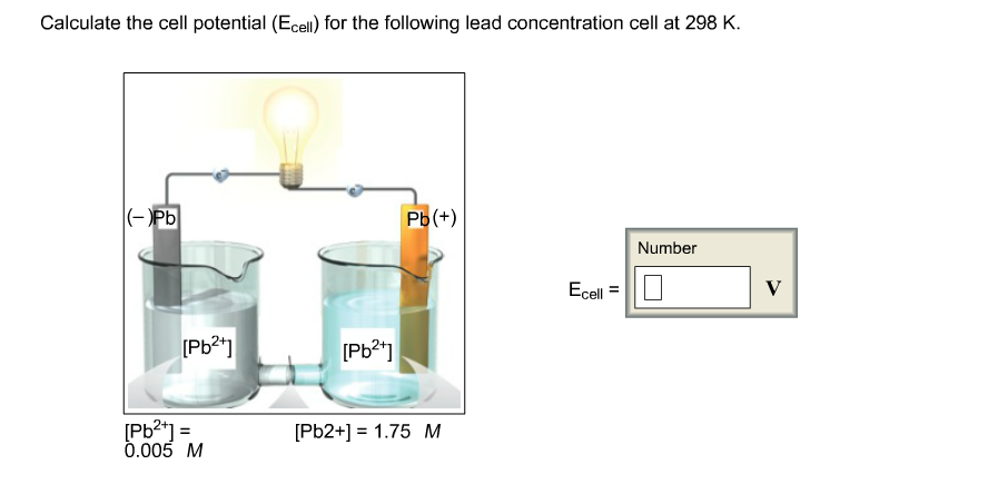 Solved Calculate The Cell Potential Ecell For The