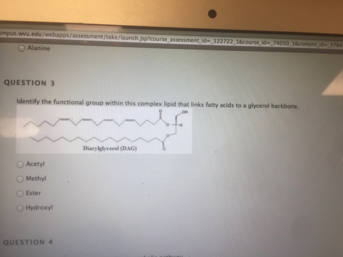Solved Identify the functional group within this complex | Chegg.com