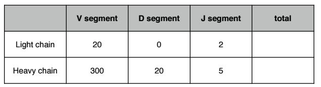 Solved Antibody diversity results from recombination of VDJ | Chegg.com