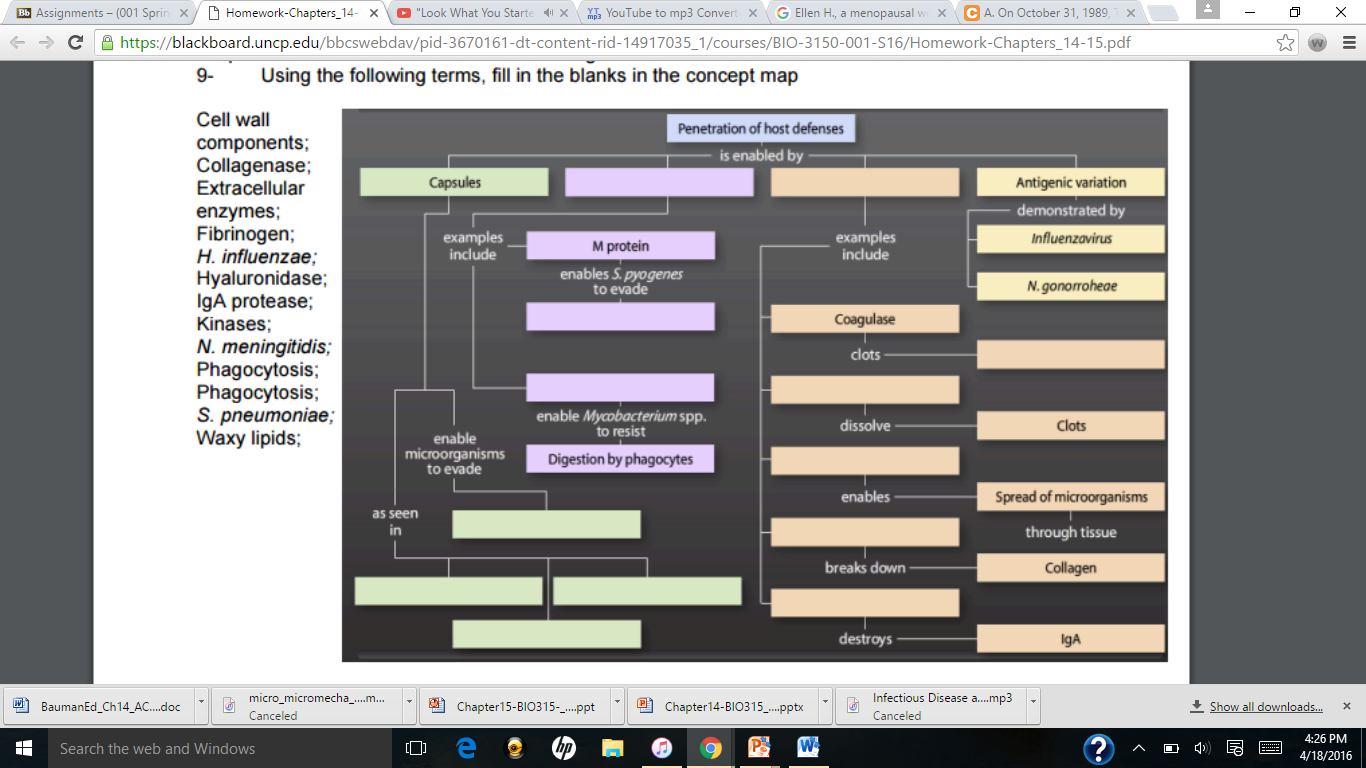 Solved a x Bb Assignments 001 sprin x Homework-Chapters 14- | Chegg.com