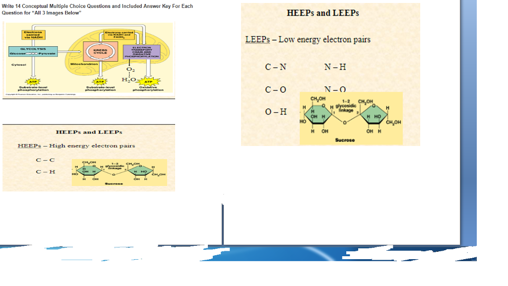 Solved Note: Write 14 Conceptual Multiple Choice Questions | Chegg.com