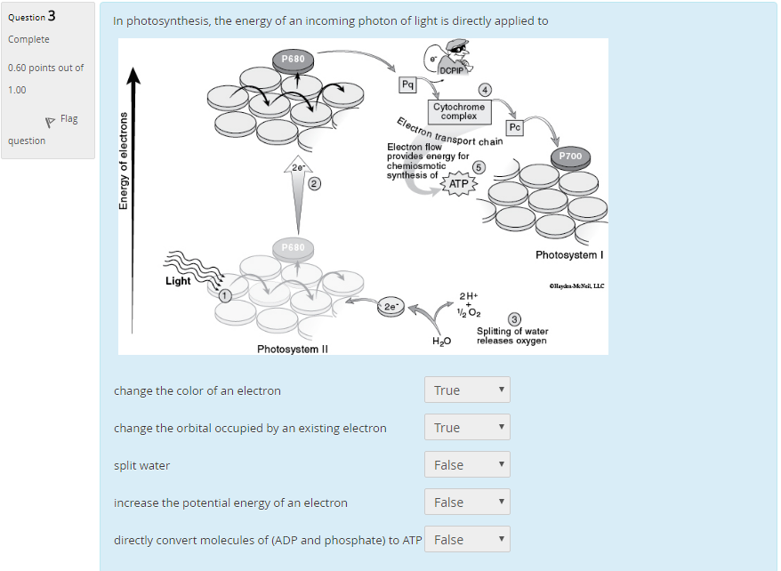 Solved Question Complete 0.60 points out of 1.00 In | Chegg.com