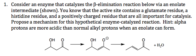 Solved Consider an enzyme that catalyzes the β-elimination | Chegg.com