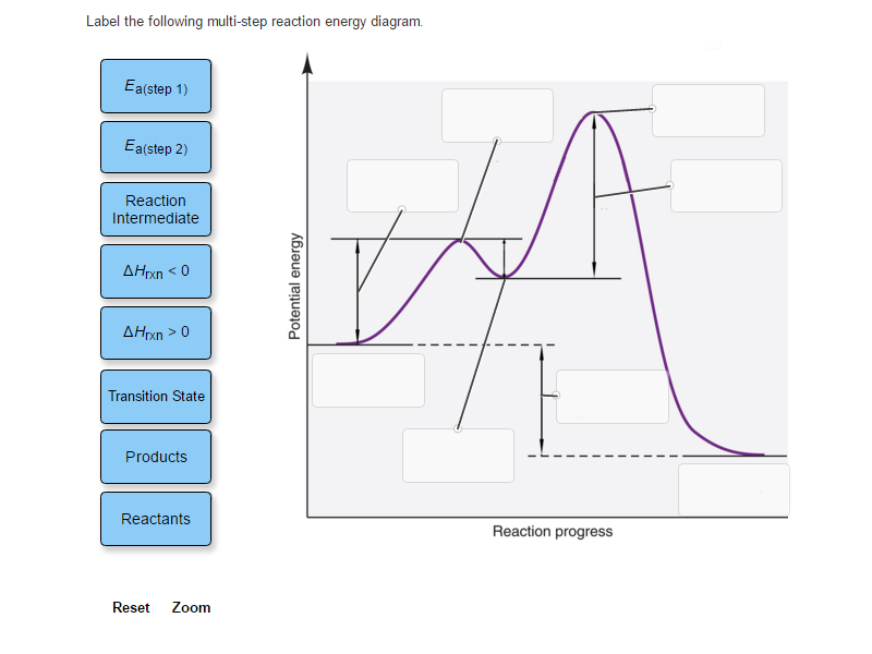 Solved Label the following multi-step reaction energy | Chegg.com