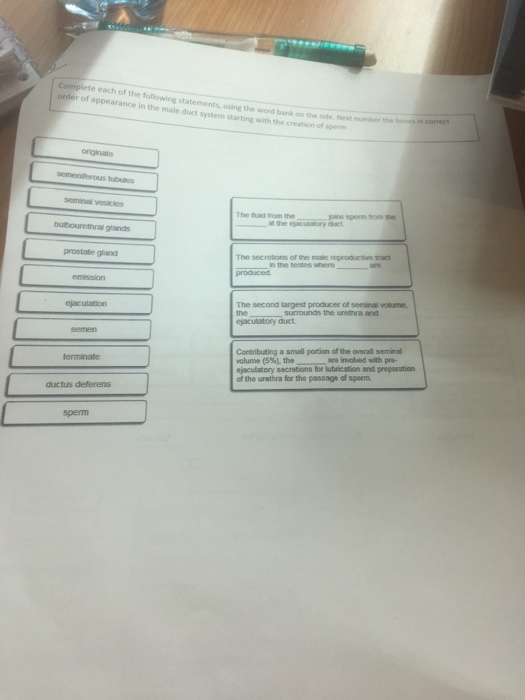 Solved Complete each of the following statements, using the | Chegg.com