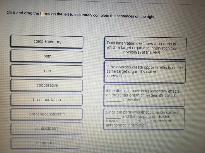 Solved Click and drag the terms on the left to accurately | Chegg.com