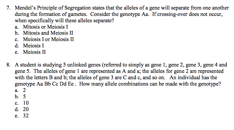Mendel39s Law Of Segregation Definition Explanation