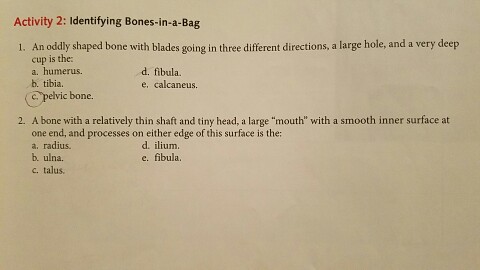 Solved Activity 1: Identifying and Classifying Joints 1. | Chegg.com