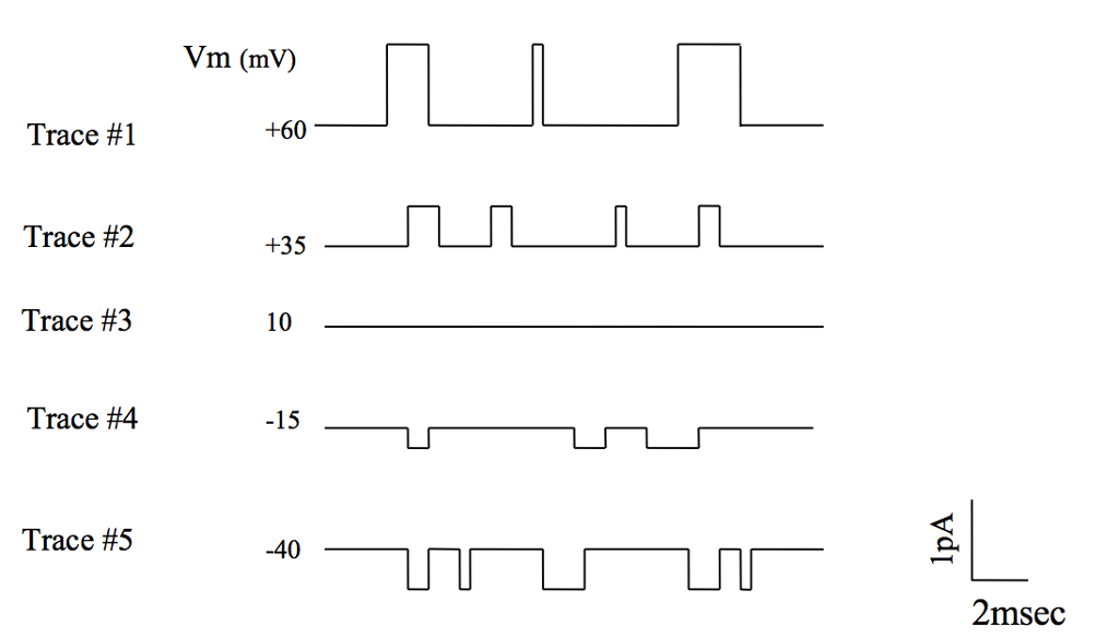 Solved The 5 data traces shown were obtained from a patch | Chegg.com