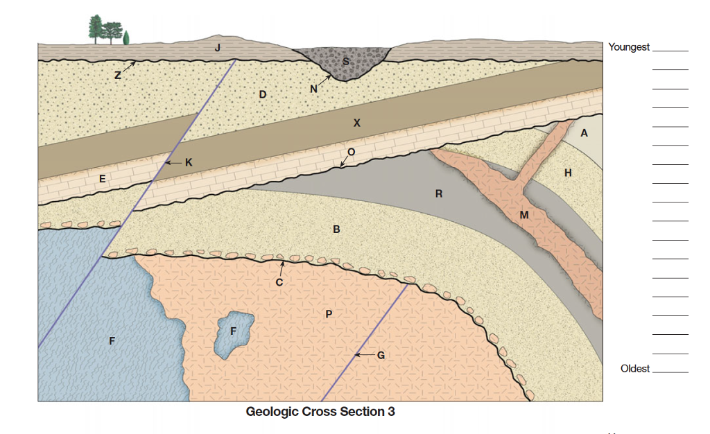 Solved On the lines provided for each cross section, write | Chegg.com