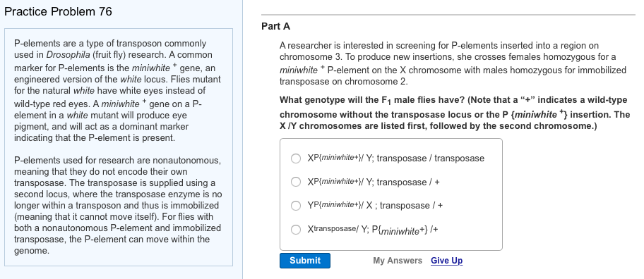 Solved P-elements are a type of transposon commonly used in | Chegg.com