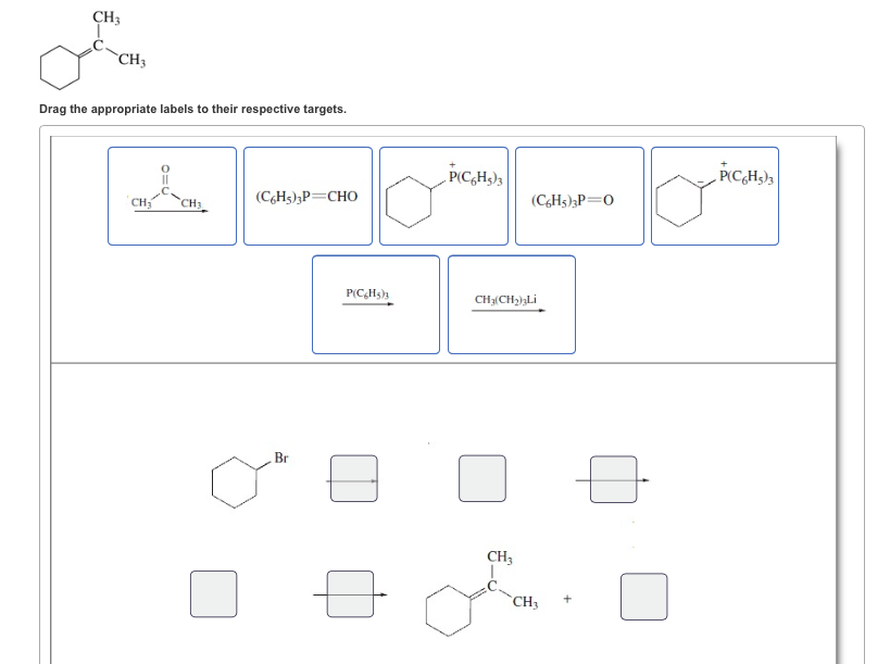 Solved CH3 CH3 Drag the appropriate labels to their | Chegg.com