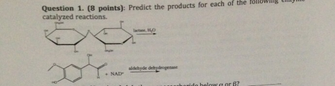 Solved Predict the products for each of the following enzyme | Chegg.com