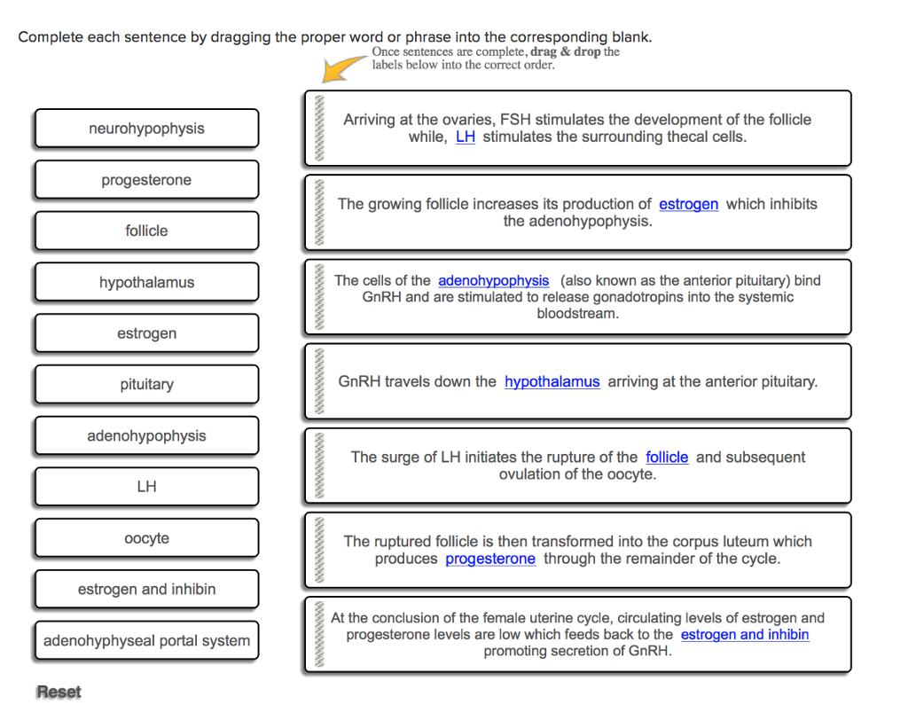 Solved Complete each sentence by dragging the proper word or | Chegg.com Solved Complete each sentence by dragging the proper word or | Chegg.com