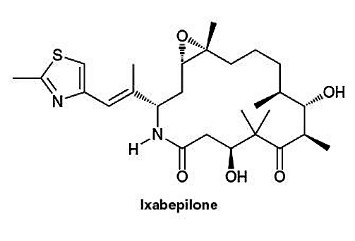 Solved Ixabepilone is a cytotoxic compound approved by the | Chegg.com