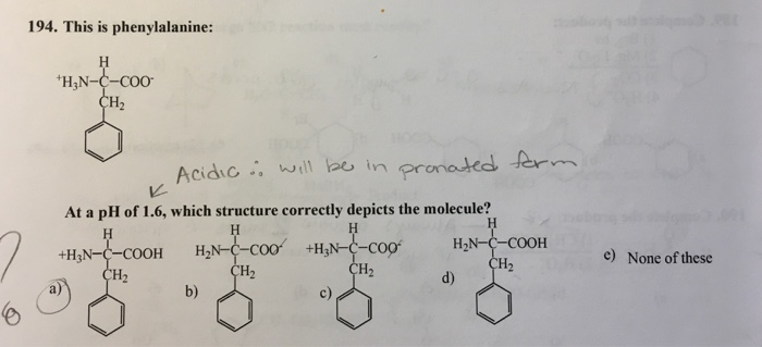 Solved This is phenylalanine: At a pH of 1.6 which structure | Chegg.com