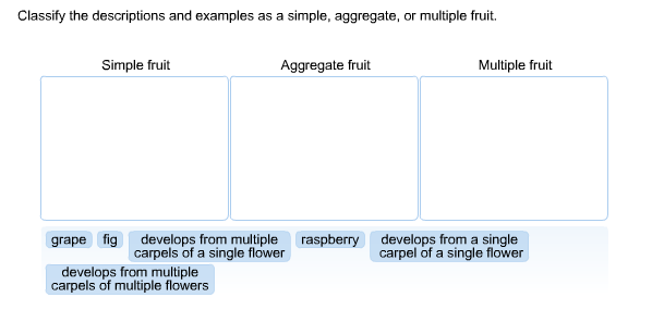 Solved Classify the descriptions and examples as a simple, | Chegg.com
