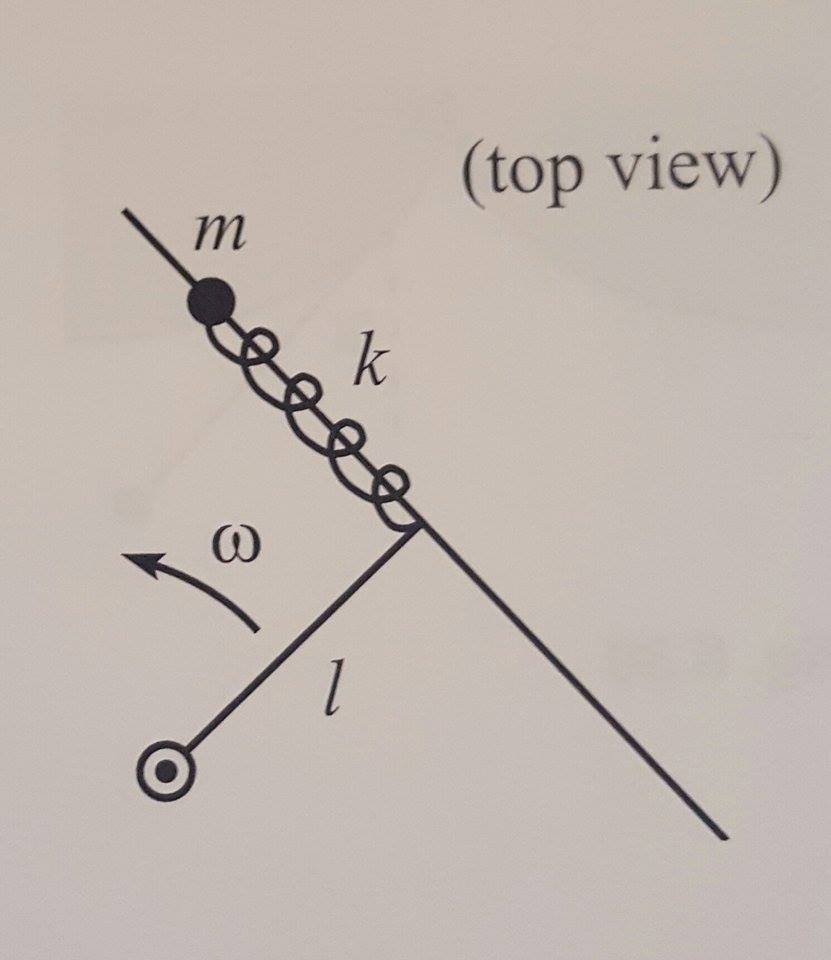 A rigid T consists of a long rod glued perpendicular | Chegg.com