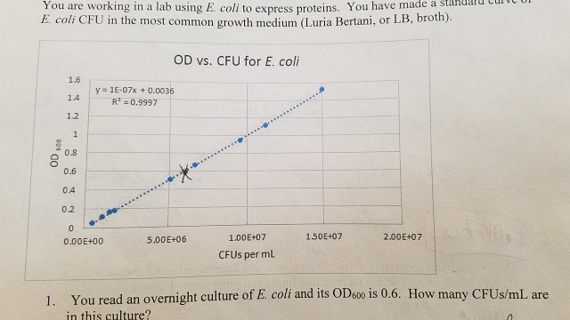 Solved You are working in a lab using E. coli to express | Chegg.com