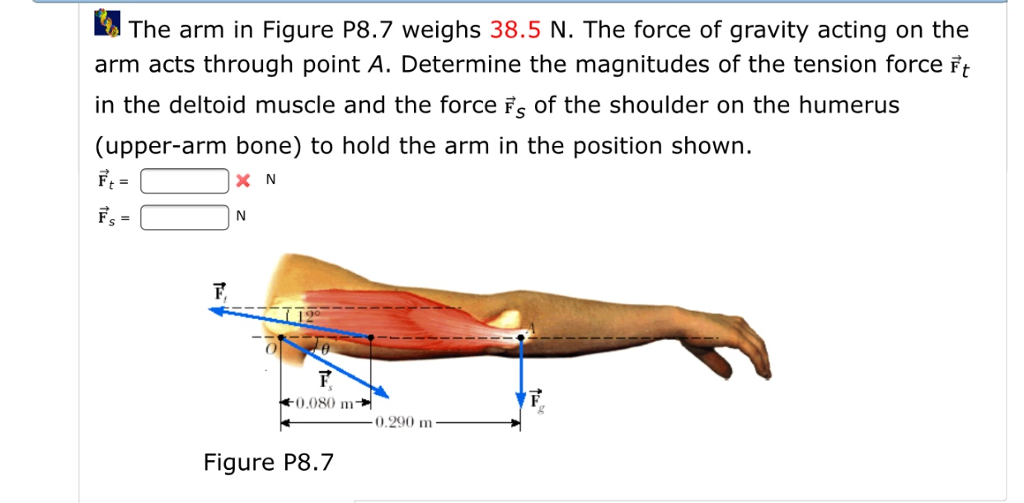 Solved The arm in Figure P8.7 weighs 38.5 N. The force of | Chegg.com