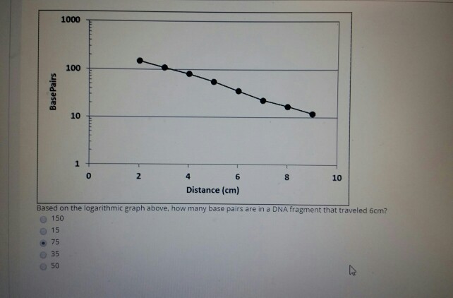 Solved question: based on the logaritgmic graph above, how | Chegg.com
