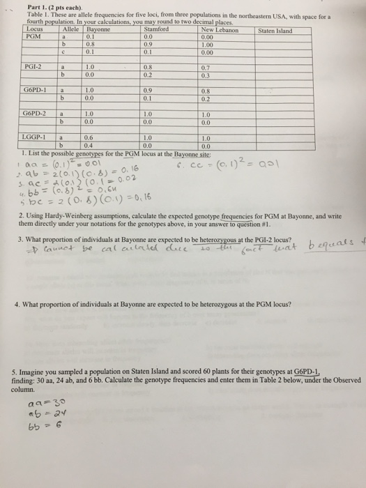 Solved Table 1. These are allele frequencies for five loci, | Chegg.com