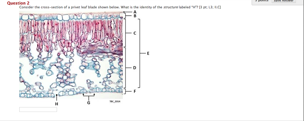 Solved Question 2 Consider the cross-section of a privet | Chegg.com