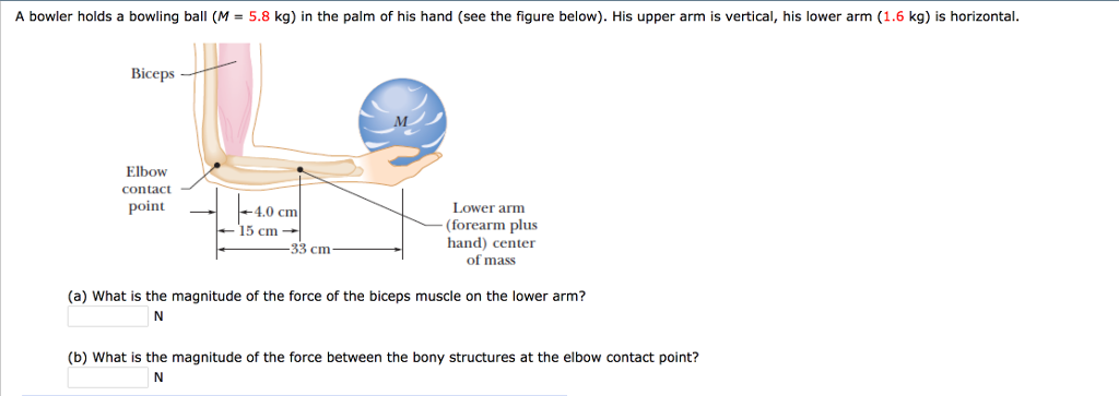 Solved A bowler holds a bowling ball (M = 5.8 kg) in the | Chegg.com Solved A bowler holds a bowling ball (M = 5.8 kg) in the | Chegg.com