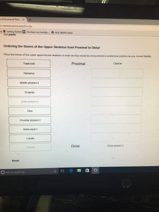 Solved Ordering the Bones of the Upper skelton from Proximal | Chegg.com