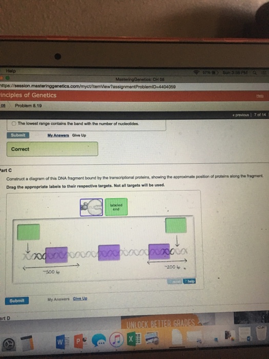 Solved Construct a diagram of this DNA fragment bound by the | Chegg.com