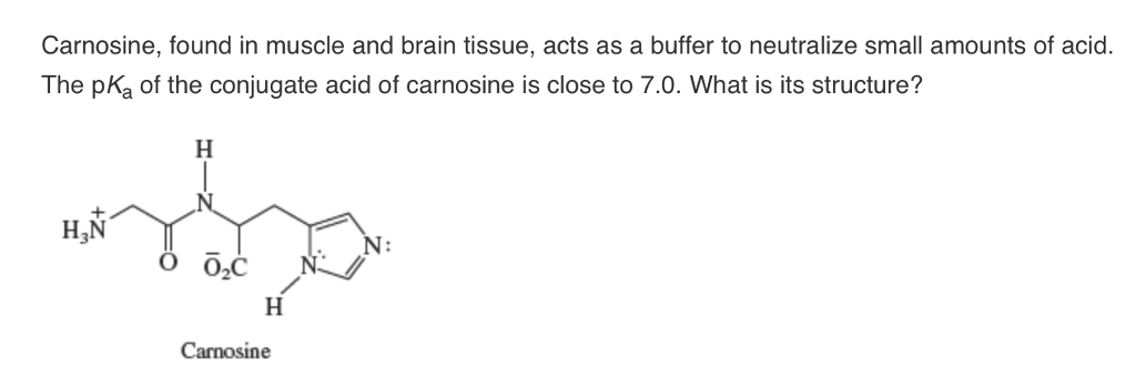 Solved Carnosine, found in muscle and brain tissue, acts as | Chegg.com