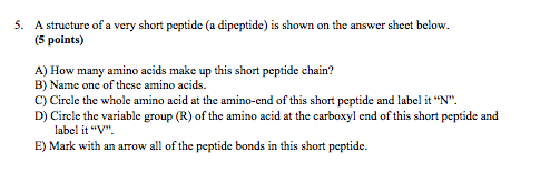 Solved S. A structure of a very short peptide (a dipeptide) | Chegg.com