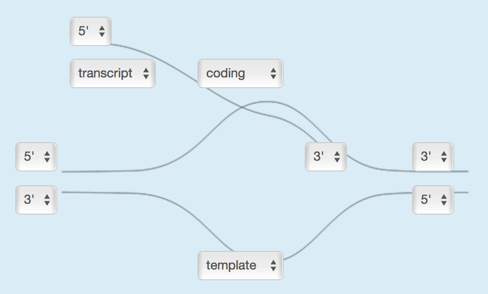 The following shows a transcription bubble. - | Chegg.com