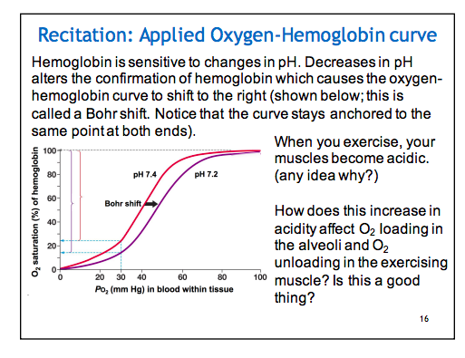 Solved Recitation: Applied Oxygen-Hemoglobin curve | Chegg.com