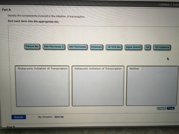 Solved Identify the components involved in the initiation of | Chegg.com