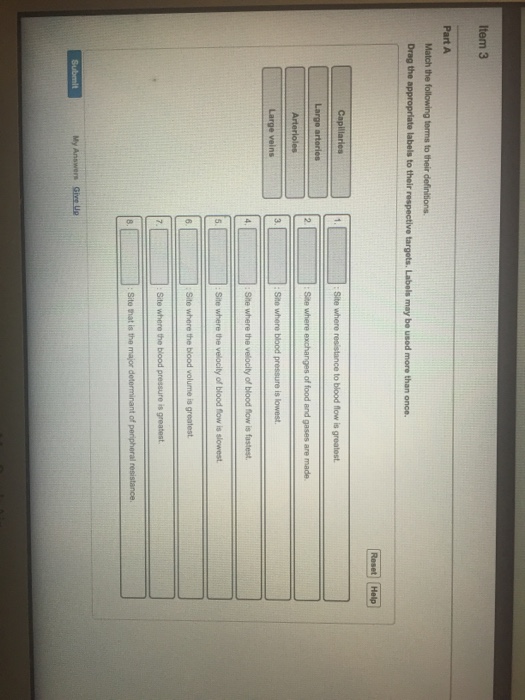 Solved Match the following terms to their definitions. Drag | Chegg.com