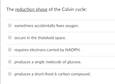 Solved The reduction phase of the Calvin cycle O sometimes | Chegg.com