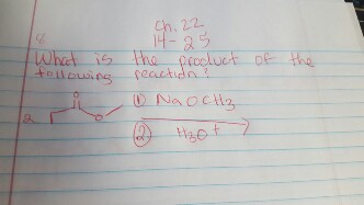 Solved What is the product of the following reaction? | Chegg.com