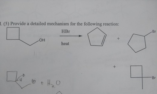 Solved: Provide A Detailed Mechanism For The Following Rea... | Chegg.com