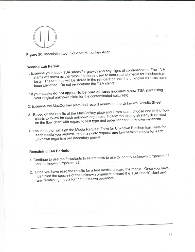 Solved Exercise 26 Identification of Unknown Bacterial | Chegg.com