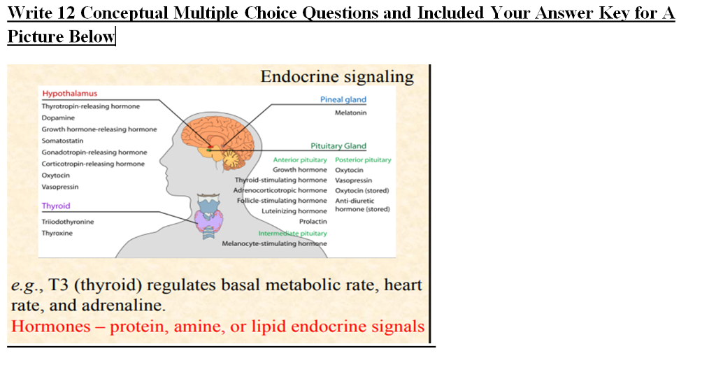 Solved Note: Write 12 Conceptual Multiple Choice Questions | Chegg.com