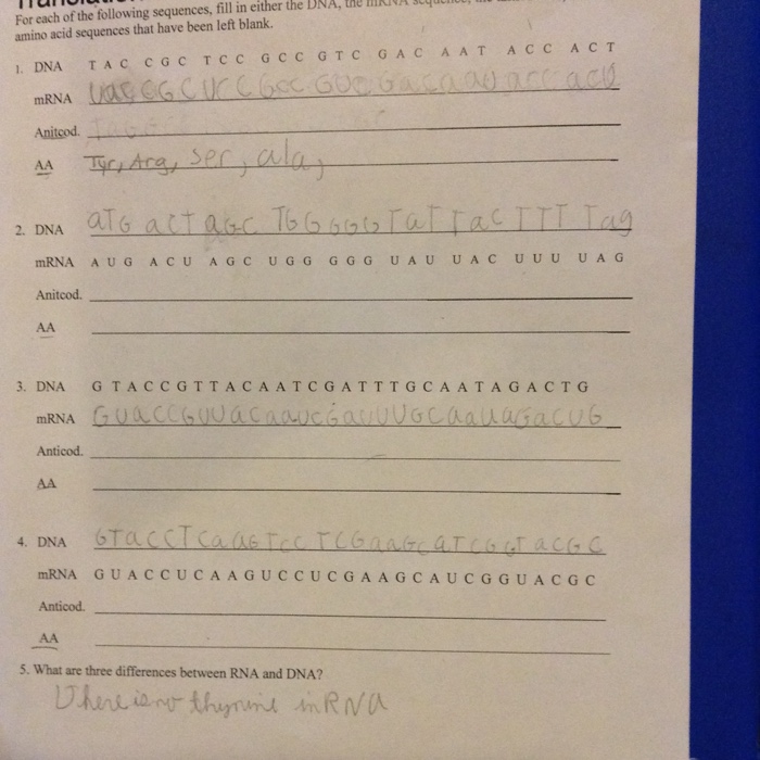 Solved For Each Of The Following Sequence Fill In Either 