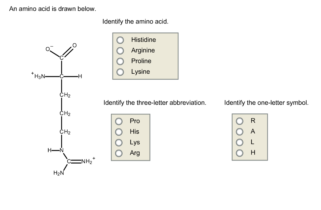 Solved An amino acid is drawn below. Identify the amino | Chegg.com