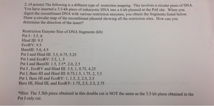 Solved The following is a different type of restriction | Chegg.com