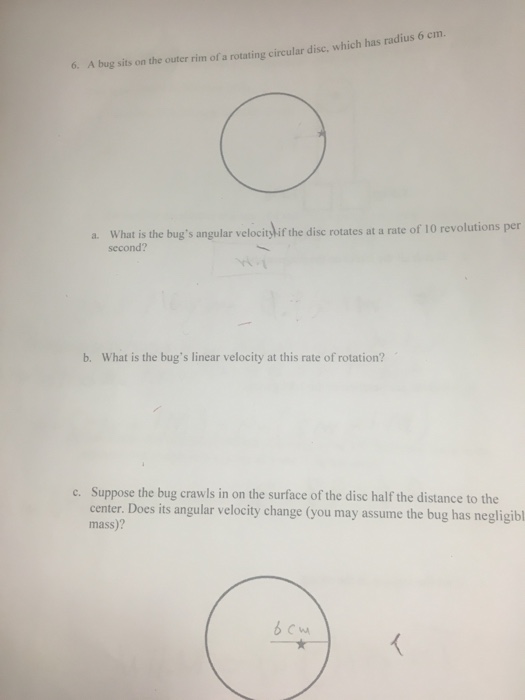 Solved A bug sits on the outer rim of a rotating circular | Chegg.com