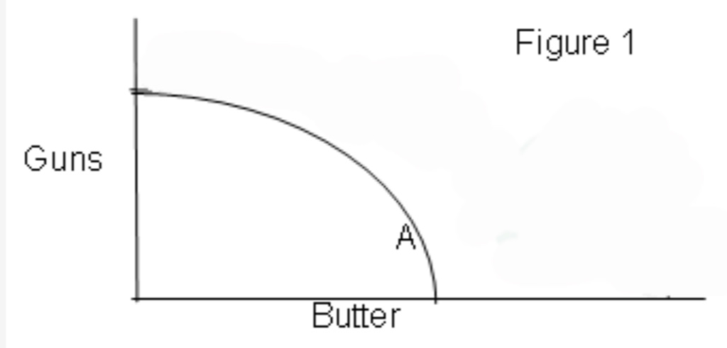 Solved 1a. You are stranded on an island in the South | Chegg.com