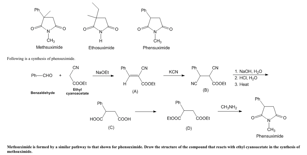 Solved Methsuximide Ethosuximide Phensuximide Following is a | Chegg.com