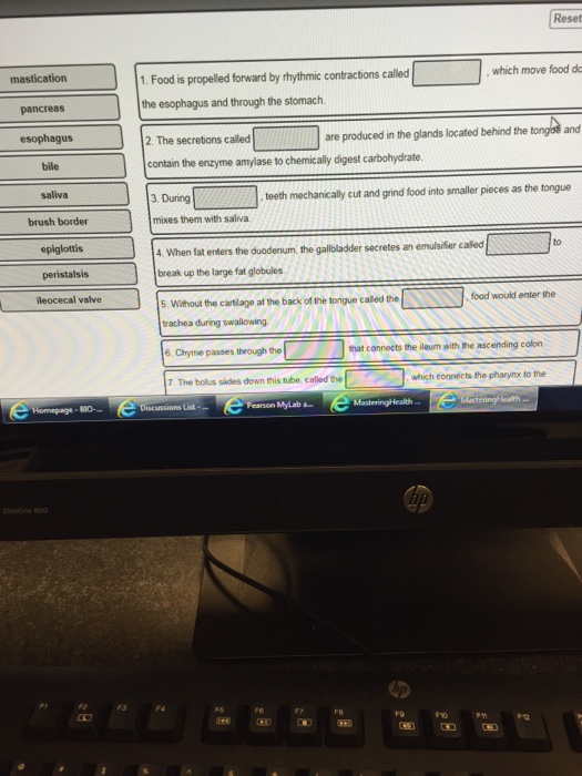 Solved Food is propelled forward by rhythmic contractions | Chegg.com