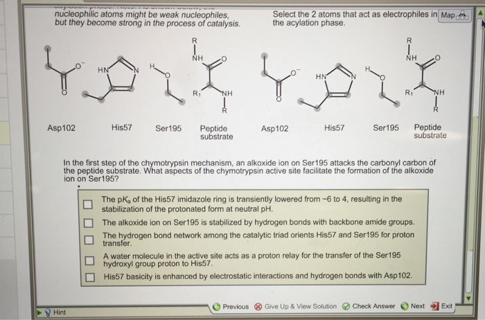 Solved In the first step of the chymotrypsin mechanism, an | Chegg.com