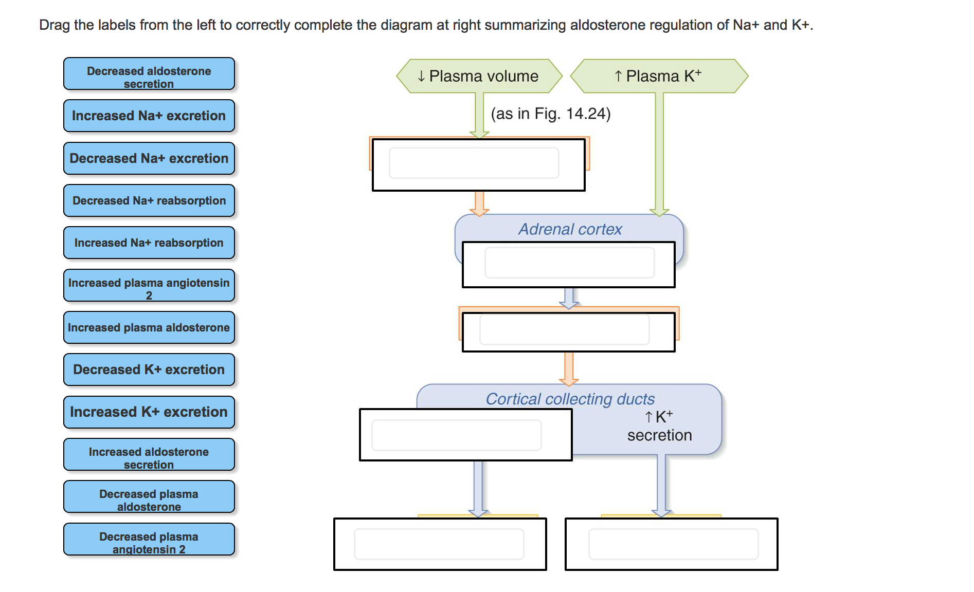Solved Drag the labels from the left to correctly complete | Chegg.com